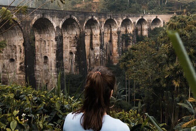 Ella Day Tour with Tea Factory All Inclusive Tour from Hambantota - Key Points