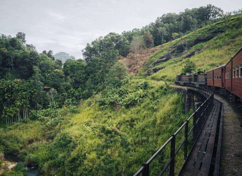 Ella Day Tour: with Tea Factory Visit from Colombo/Bentota - The Journey to Ella — What to Expect