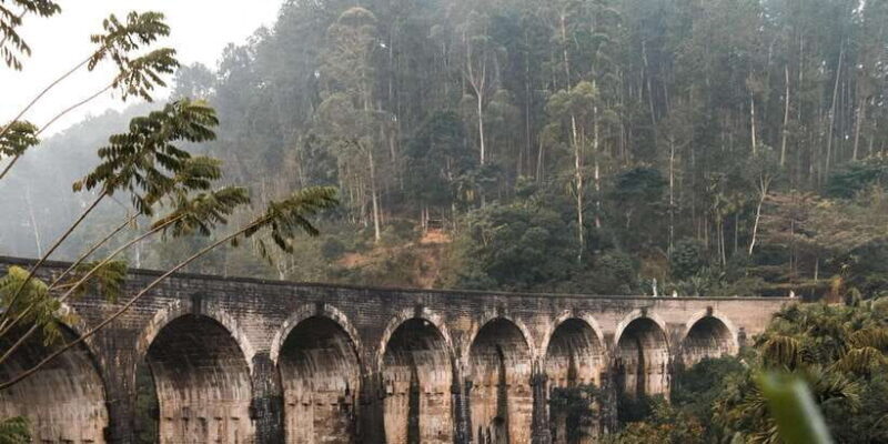 Ella Day Tour: with Tea Factory Visit From Colombo/ Negombo - Who Should Book This Tour?