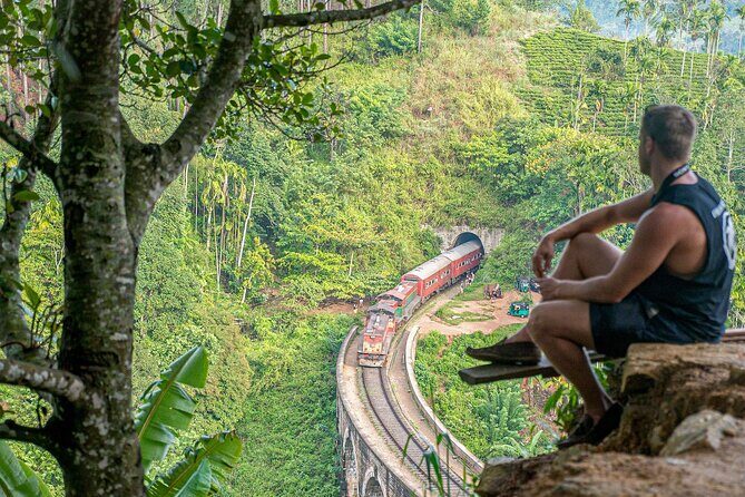 Ella Day Tour with Tea Factory visit From Pasikudah - Key Points