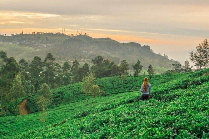 Ella Day Trip from Mirissa, Weligama, Galle, Hikkaduwa - FAQ