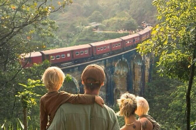 Ella Day Trip private & all inclusive from Colombo. - Key Points