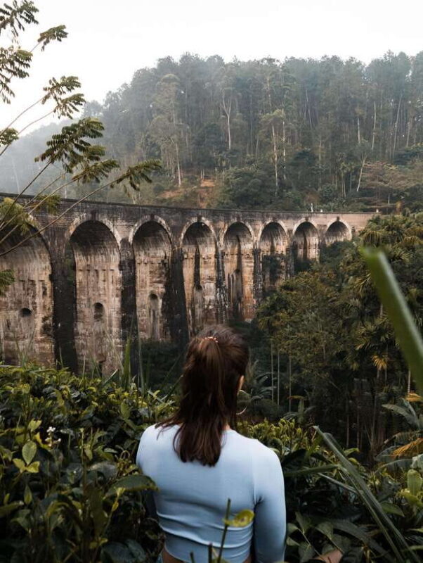 Ella Day Trip: with Little Adam's Peak Hike From Colombo - How This Tour Offers Value