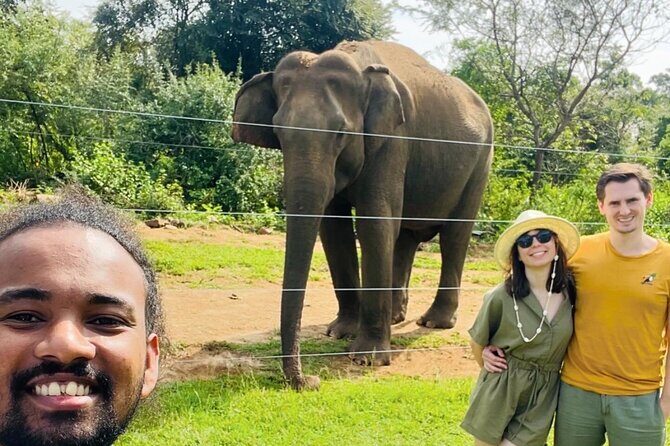 Ella Day Trip with Train Ride Waterfalls and Tea Factory Tour - The Itinerary: What You Can Expect