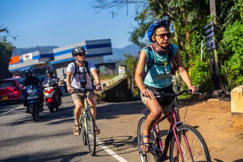 Ella: Demodara Cycling Tour with Train Ride - What Travelers Say