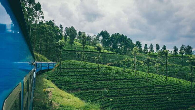 Ella From/To Kandy Scenic Train Journey with One Night Stay - Key Points