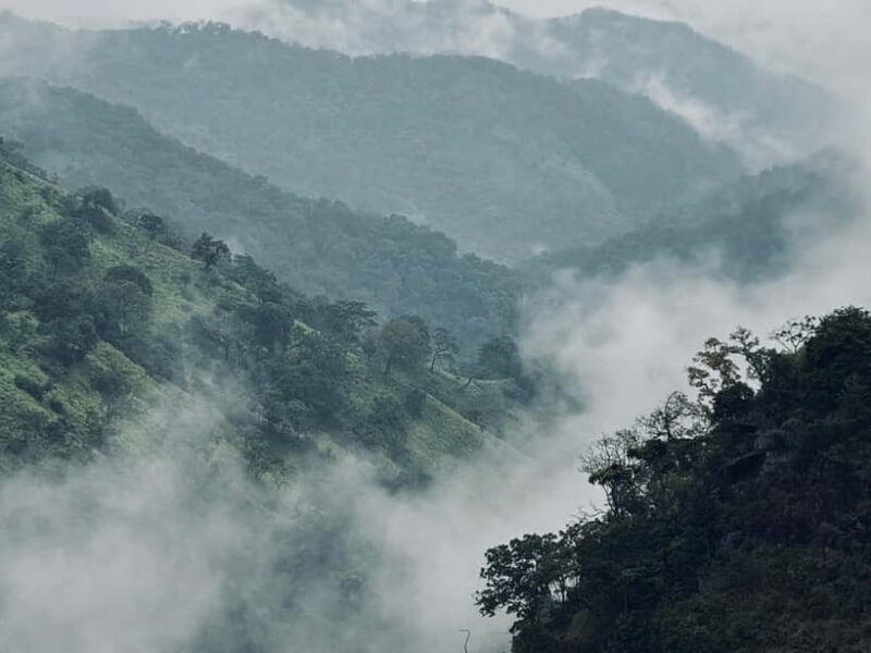 Ella Full-Day Tour from Mirissa/Ahangama/Hikkaduwa/Bentota - The Start: Early Morning Pickup and the Drive to Ella