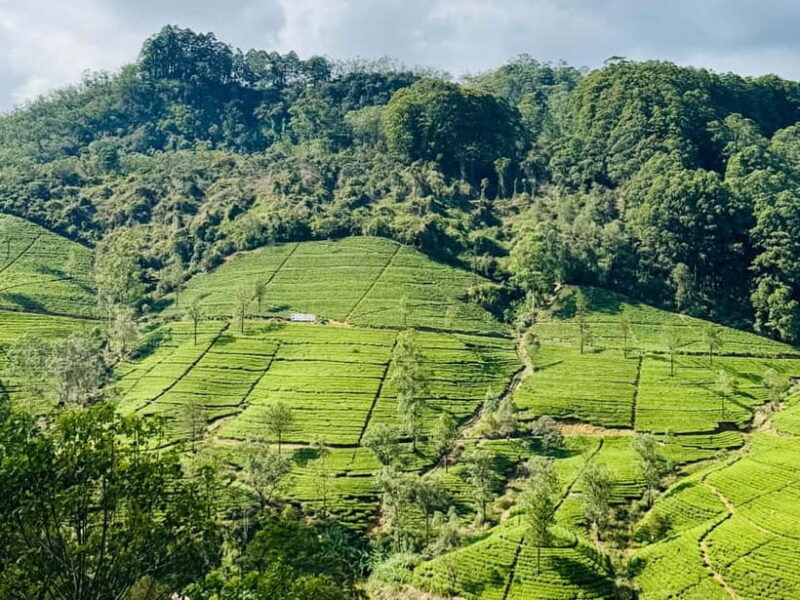 Ella Full-Day Tour from Mirissa/Ahangama/Hikkaduwa/Bentota - The Nine Arches Bridge: A Colonial Marvel