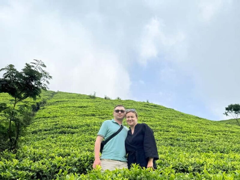 Ella Full-Day Tour from Mirissa/Ahangama/Hikkaduwa/Bentota - Additional Stops: Waterfalls and Natural Beauty