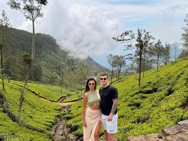 Ella Full-Day Tour from Mirissa/Ahangama/Hikkaduwa/Bentota - From the reviews, it’s clear that knowledgeable guides and stunning views make this experience special. One traveler called it “amazing,” highlighting how well-organized and scenic the day was for others. The combination of authentic local transport, expert guiding, and breathtaking landscapes creates an experience worth the early wake-up call.