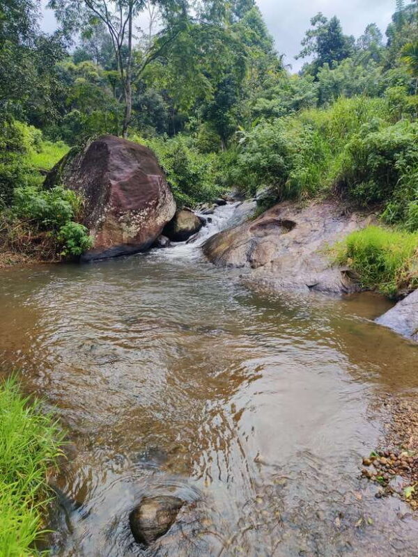 Ella: Guided Day Tour with Tea Estate Visit - Key Points