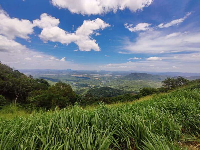 Ella: Guided Day Tour with Tea Estate Visit - A Closer Look at the Ella Guided Day Tour