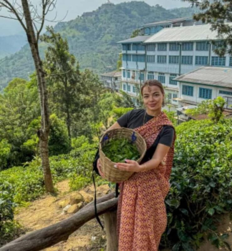 Ella: Halpe Tea Factory Tour with Tuk-Tuk Scenic Drive - Deep Dive into the Highlights