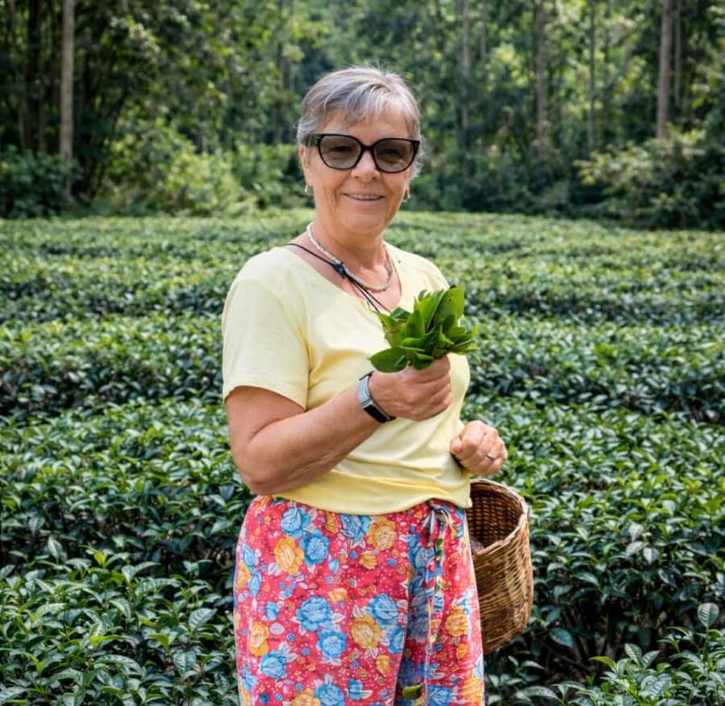 Ella: Hands-On Tea Making Experience with Tasting - Starting with a Warm Welcome and Local Stories