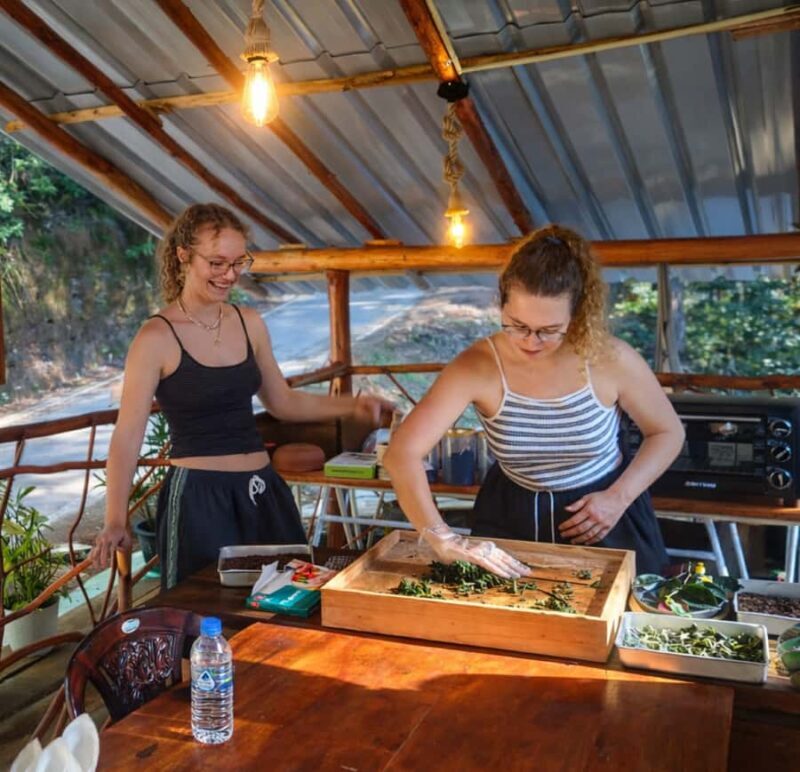 Ella: Hands-On Tea Making Experience with Tasting - The Art of Tea Processing