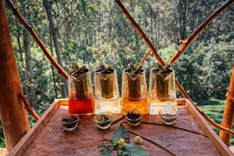 Ella: Hands-On Tea Making Experience with Tasting - Practical Details and Value