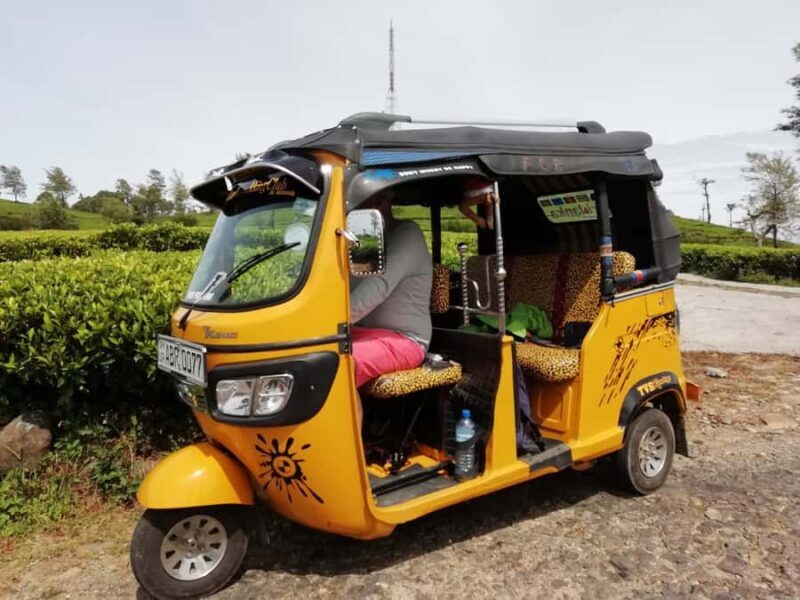 Ella-Haputae Tea Plantation Safari By Tuk Tuk & Liptons Seat - A Scenic Ride Through Sri Lanka’s Tea Country