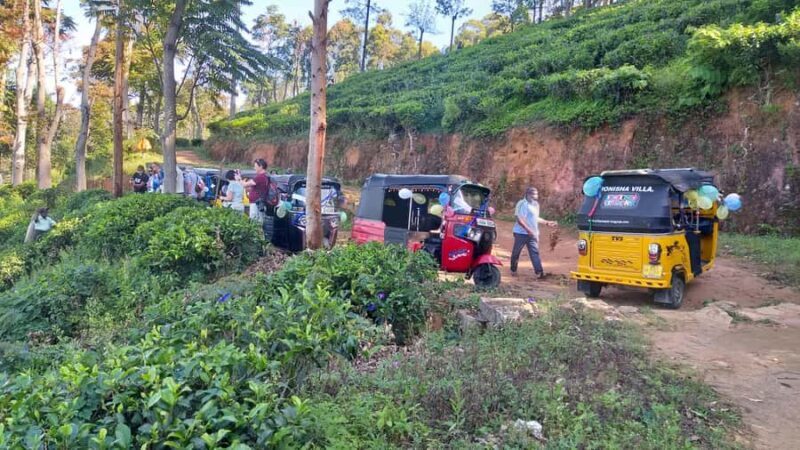 Ella-Haputae Tea Plantation Safari By Tuk Tuk & Liptons Seat - Final Thoughts