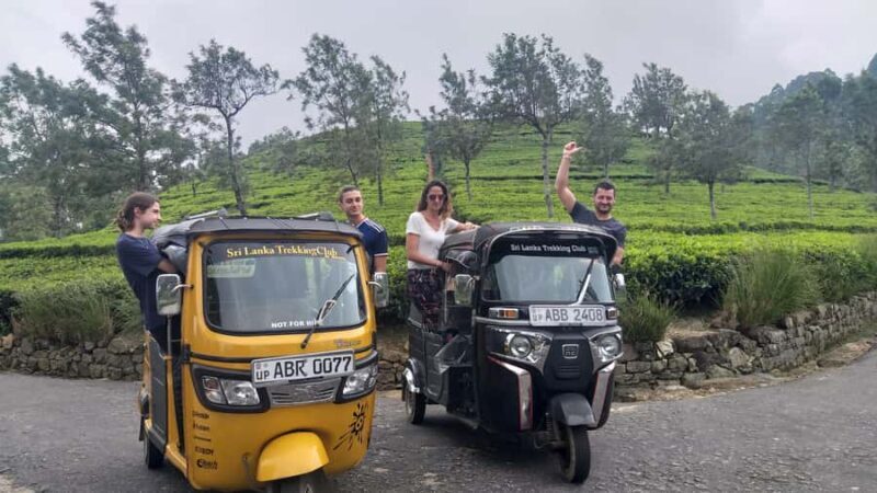 Ella Haputae Tea Plantation Safari By TukTuk & Cooking Class - Practical Details and What You Should Know