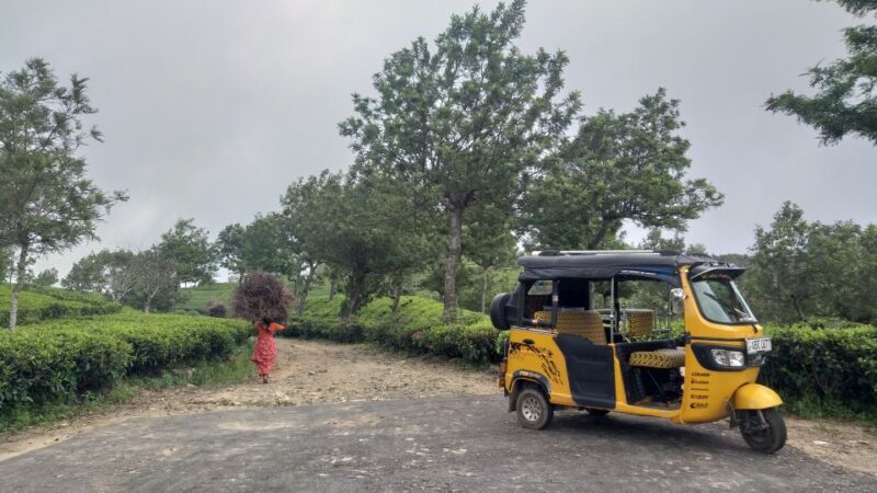 Ella Haputae Tea Plantation Safari By TukTuk & Cooking Class - FAQ