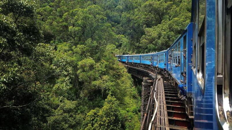 Ella Hill Country Tour : A Perfect Day Tour in Sri Lanka - Ella Hill Country Tour : A Perfect Day Tour in Sri Lanka