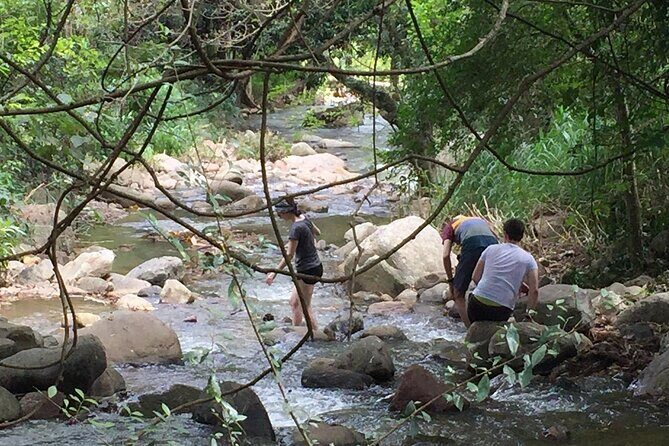 Ella Little Adam's Peak Sunrise Walking Tour Experience - Practical Details and What to Expect
