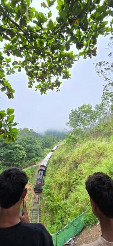 Ella: Nine Arch Bridge, Little Adam's Peak & Waterfalls Tour - Authentic Experiences & Local Guides