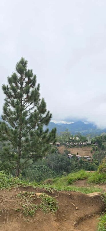 Ella: Nine Arch Bridge, Little Adam's Peak & Waterfalls Tour - Who Will Love This Tour?