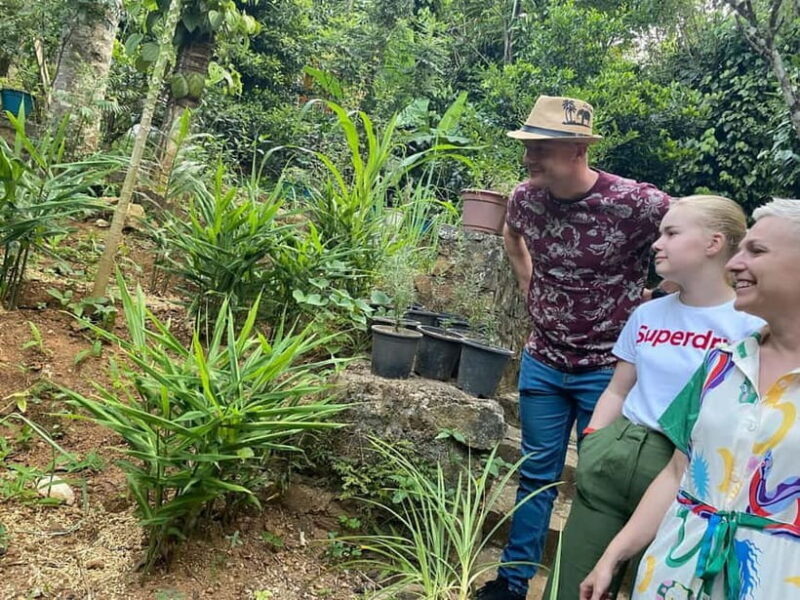 Ella: Nine Arch Spice Garden Tour with Traditional Lunch - Overview and What to Expect