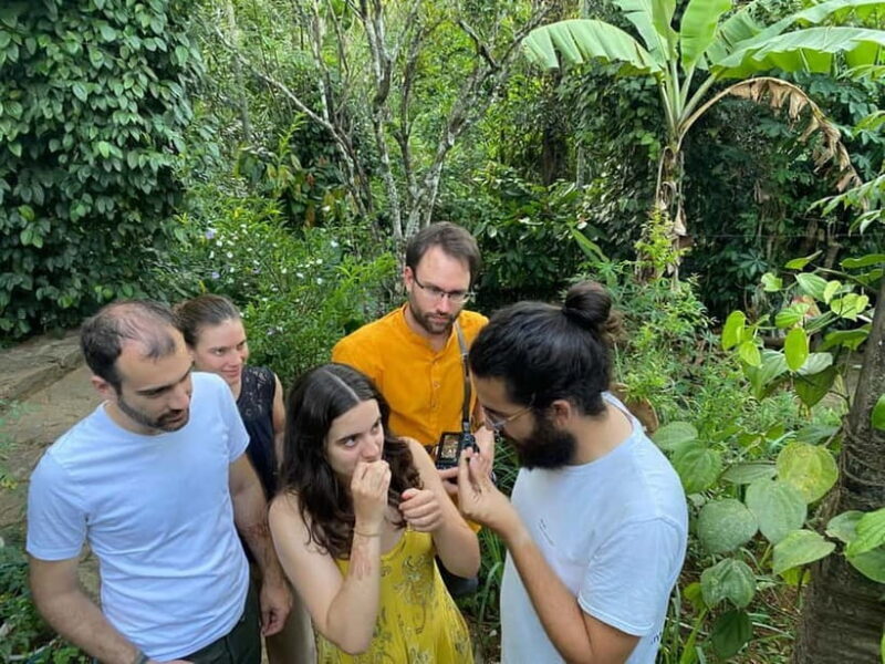 Ella: Nine Arch Spice Garden Tour with Traditional Lunch - Why This Tour Is a Great Choice