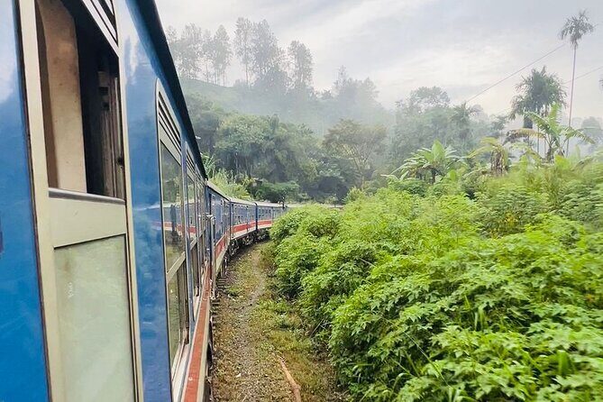 Ella One Day Private Tour with Scenic Train Ride and Tea Factory - What Travelers Are Saying