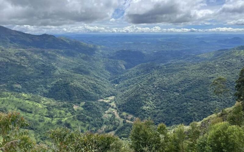 Ella: Pekoe Trail Stage 15 Guided Hike (Makulella to Ella) - Key Points