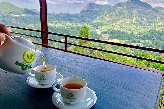 Ella Private Day Tour From Kandy - An In-Depth Look at the Itinerary