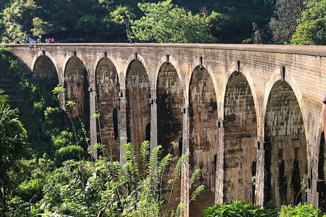 Ella Private Day Tour with Train Ride and Visit to Nine Arch - Who Should Book This Tour?