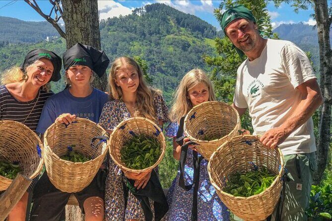 Ella Safari Jeep Tour Nine Arches Peaks and Waterfalls - An In-Depth Look at the Ella Safari Jeep Tour