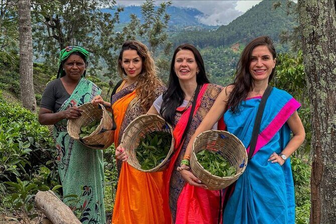 Ella Safari Jeep Tour Nine Arches Peaks and Waterfalls - The Sum Up