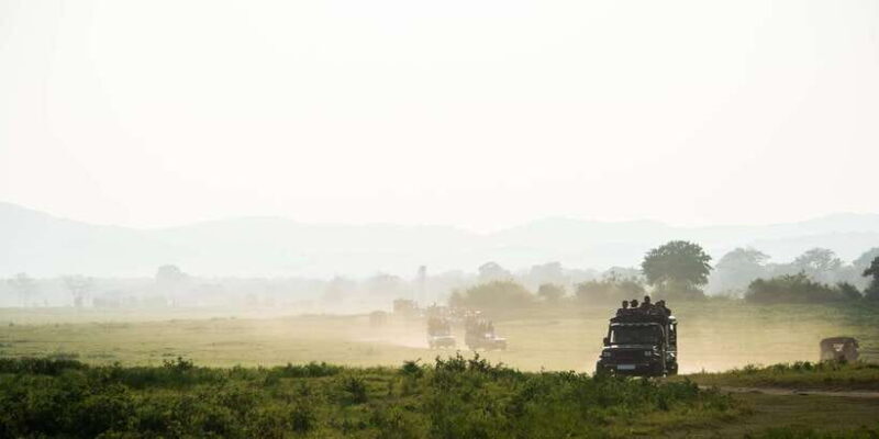 Ella Safari Jeep Tour: Nine Arches, Peaks & Waterfalls