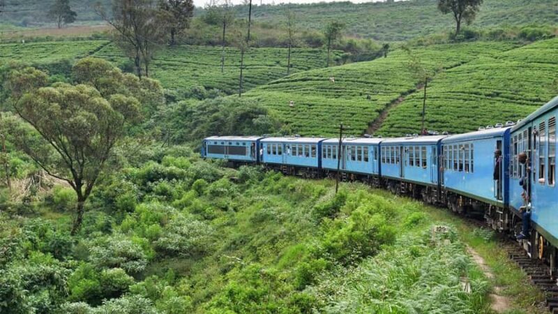 Ella Scenic Train Journey: Reserved E Tickets from Ambewela - Final Thoughts: Is It Worth It?