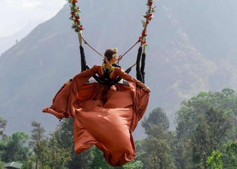 Ella Swing - Experience Overview: What to Expect from the Ella Swing