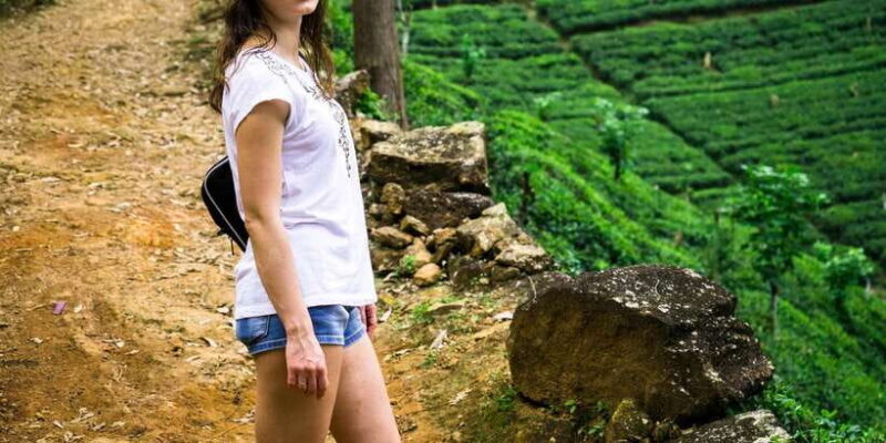 Ella: Tea Factory, Train, and Nine Arch Day Tour with Pickup - Who Should Book This Tour?