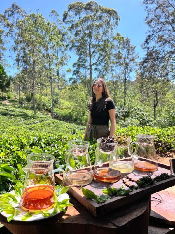 Ella: Tea-Making Experience Tour with Tasting & Snacks - The Sum Up