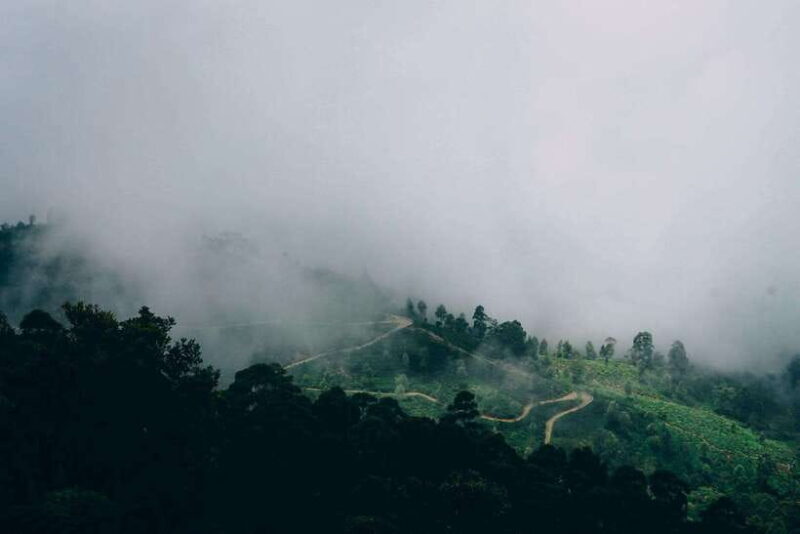 Ella: The Pekoe Trail Stage 16 - Ella to Demodara - Key Points