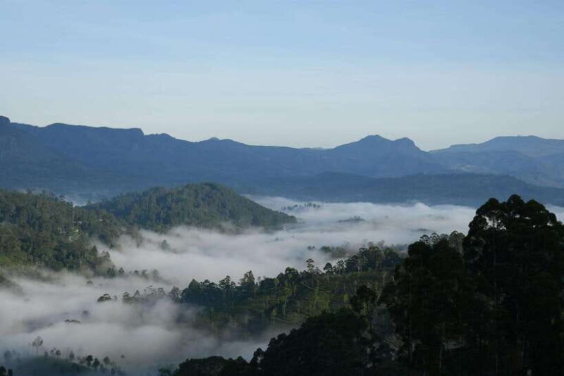 Ella: The Pekoe Trail Stage 16 - Ella to Demodara - An In-Depth Look at the Pekoe Trail Stage 16