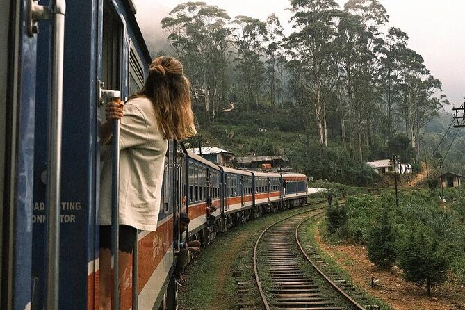 Ella to Ambewela Scenic Train Journey with Reserved Seats Ticket - Key Points
