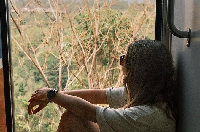 Ella to Ambewela Scenic Train Journey with Reserved Seats Ticket - The Sum Up
