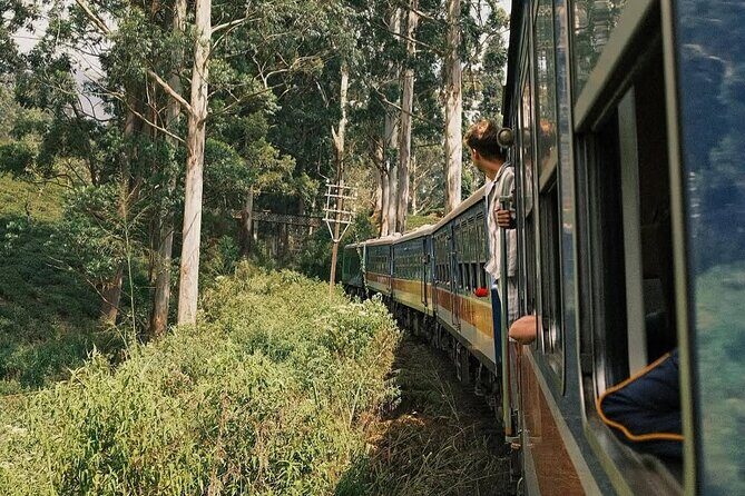 Ella to Ambewela Scenic Train Journey with Reserved Seats Ticket - FAQ