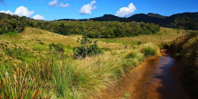 Ella to Horton Plains with Bakers Falls & Train Delights - Practical Tips for Your Trip