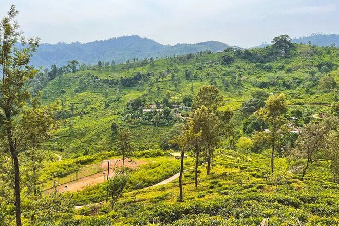 Ella to Udawalawa Wildlife Safari and Drop Down South - The Itinerary in Detail