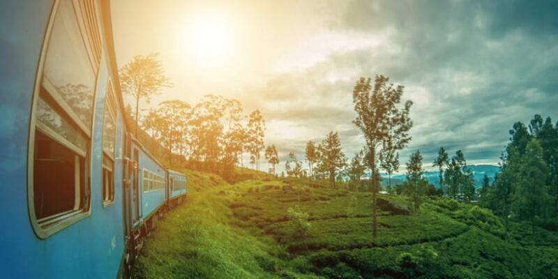 Ella Train Experience with Dip & Dine at Ravana Pool Club - Introducing the Ella Train Experience with Dip & Dine at Ravana Pool Club