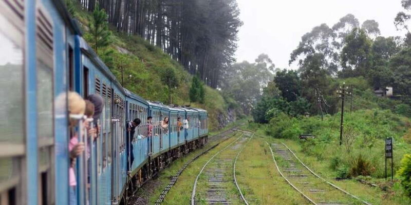 Ella Train Experience with Dip & Dine at Ravana Pool Club - Key Points